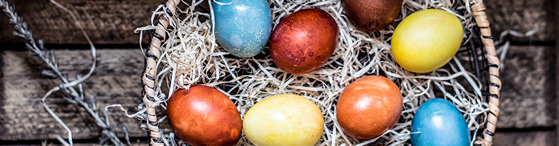 easter | Oboge